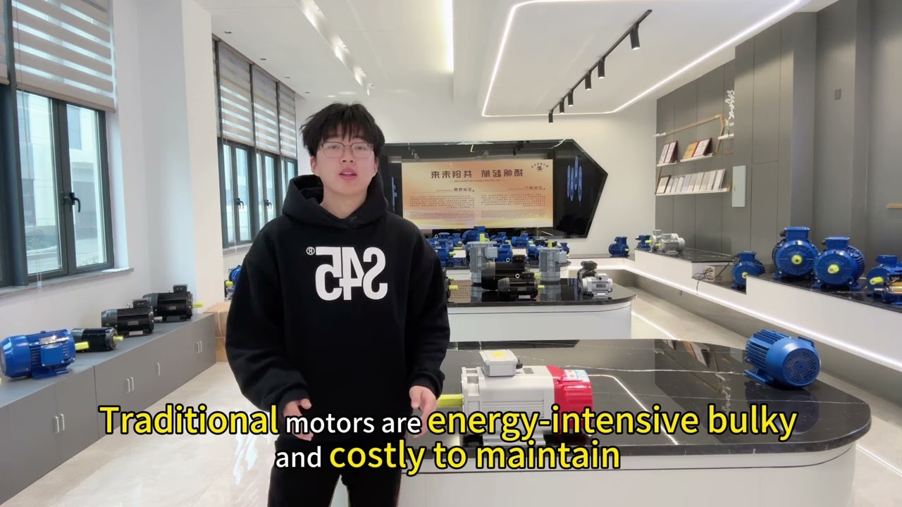 ZHENLI MOTOR-ZLTZ Series Permanent Magnet Synchronous Motor