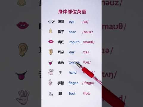身体部位单词#英语 Learn Chinese - Learn English