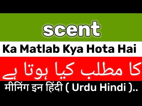 Scent Meaning | Scent Meaning In Urdu | Scent Ka Matlab Kya Hota Hai | Scent Ka Meaning