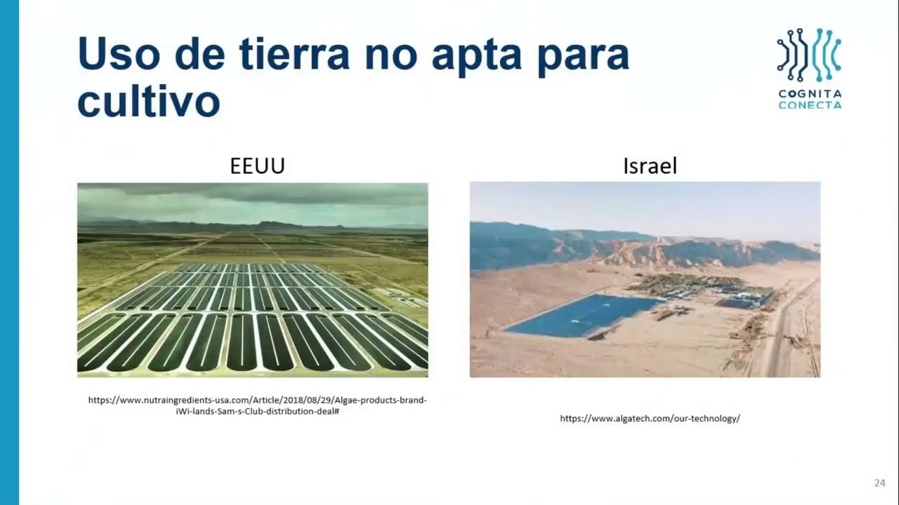 Ventas y desafíos del uso de Microalgas: Uso de tierra no apta para cultivo