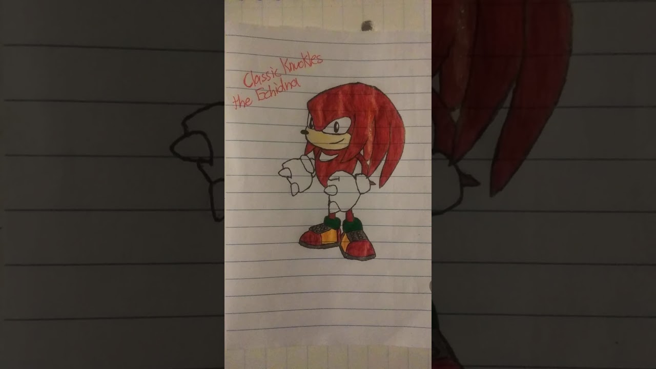 A Picture for Dodie (Classic Knuckles the Echidna)