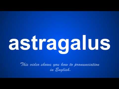 the correct pronunciation of astragalus in English.