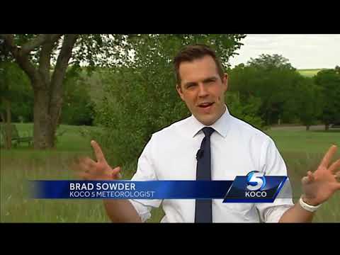 Oklahoma allergy season means high weed pollen in ragweed