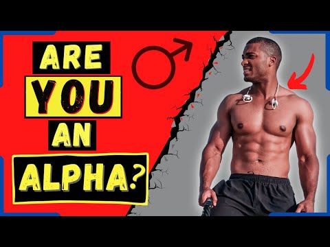 15 Definite Signs You’re An Alpha Male (The Superior Man)