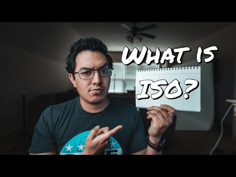 How does ISO work? Learning camera basics.