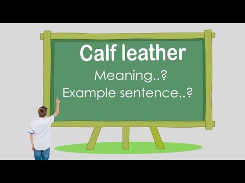 Calf leather meaning in Urdu |Hindi | English |How to pronounce Calf leather | Sentence example