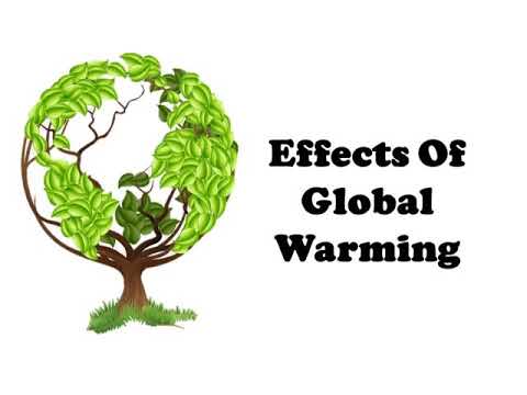 Cause and Effect Global Warming!