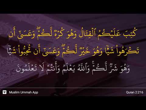 Al-Baqarah ayat 216