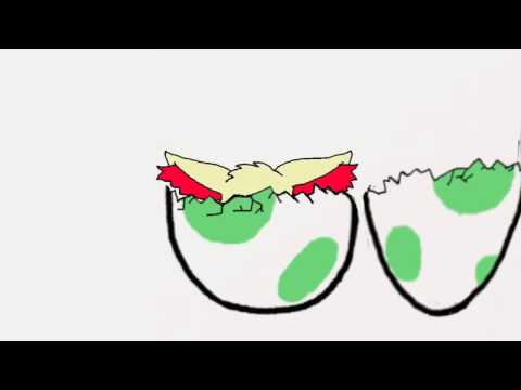 Fennekin Is Stronger Than You Think