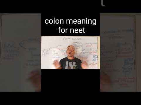 colon meaning #science #shorts #biology #neet