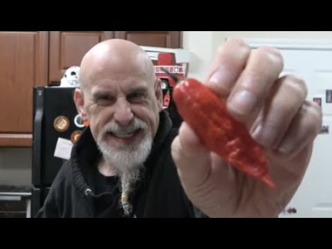 a PERFECT Ghost Pepper from Seriously Hot Peppers! Let's all finish the week strong! Let's go people