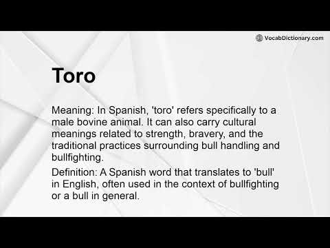 Toro Meaning