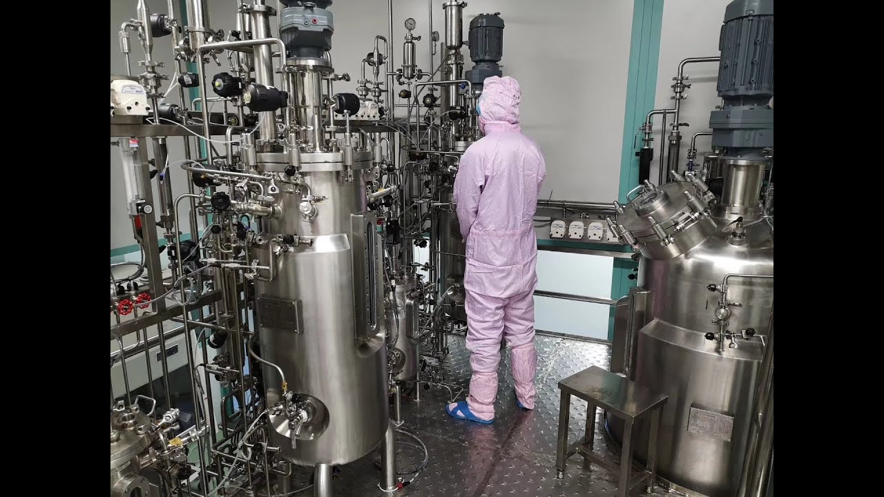 KNIK BIO bioreactor systems for microbial and cell culture fermentation