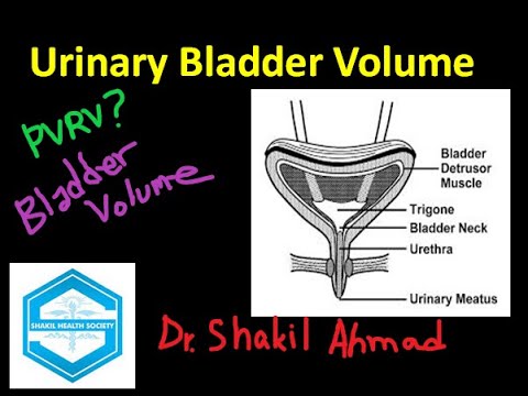 Urinary Bladder Volume (Pre and Post micturition) #anechoic #complex