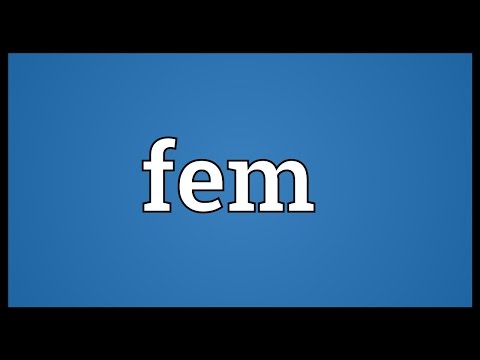 Fem Meaning