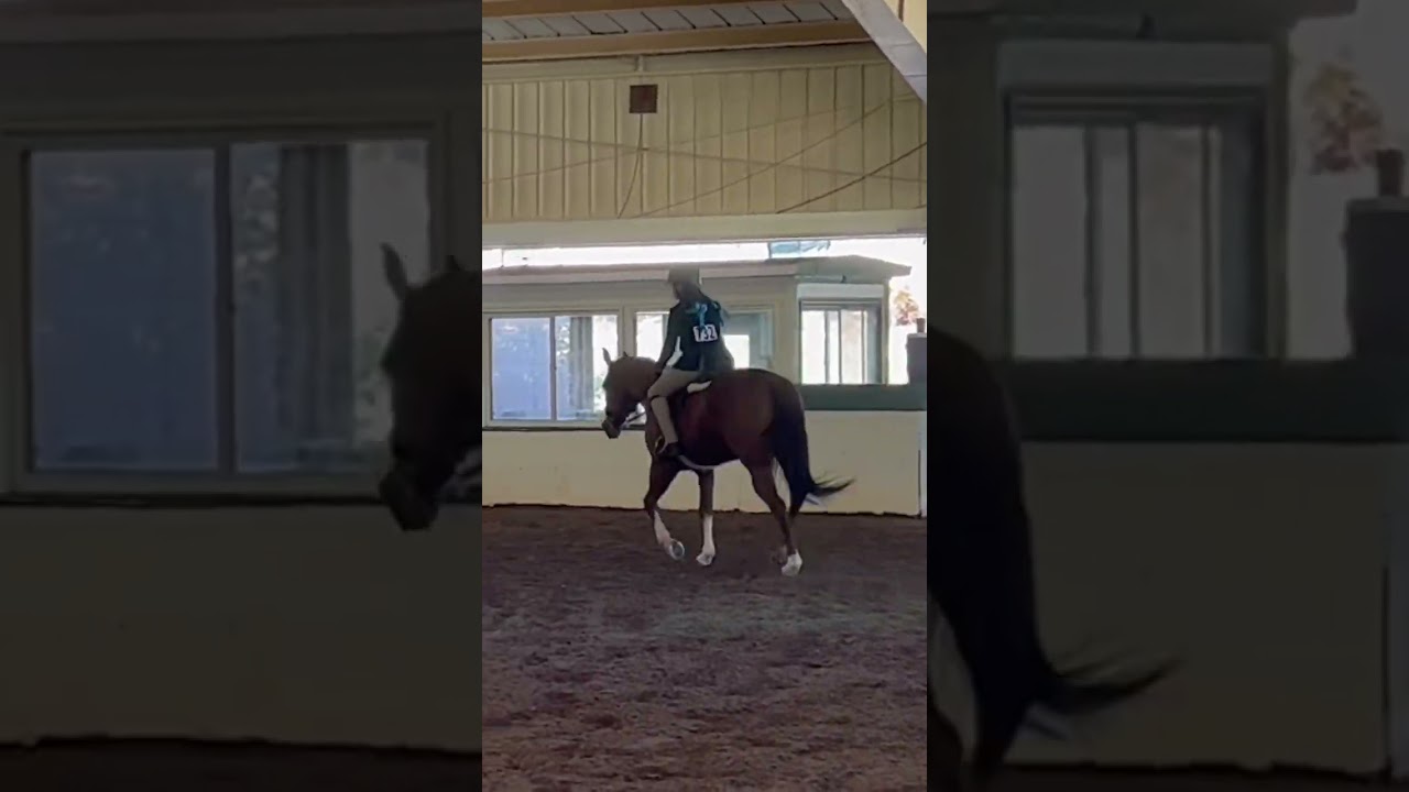 Bitsy won the hack on Saturday😍