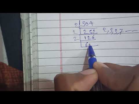 prime factors of 504