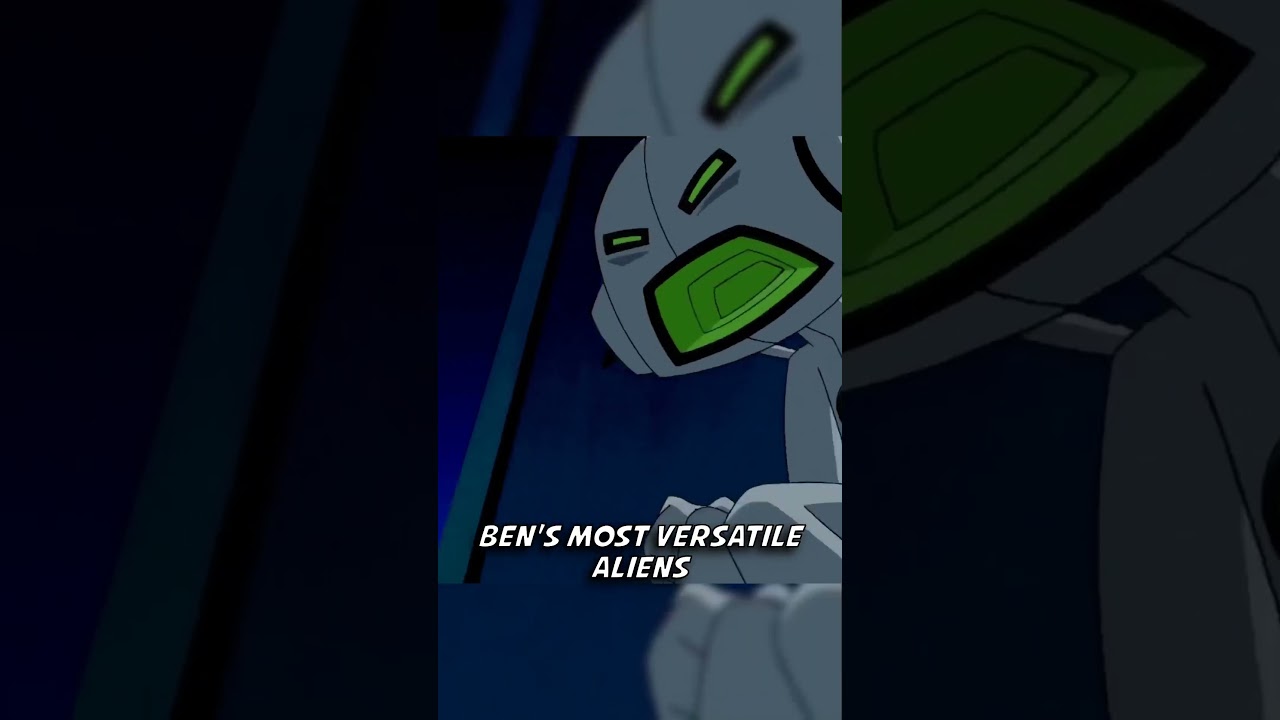 Why We All Love ECHO ECHO