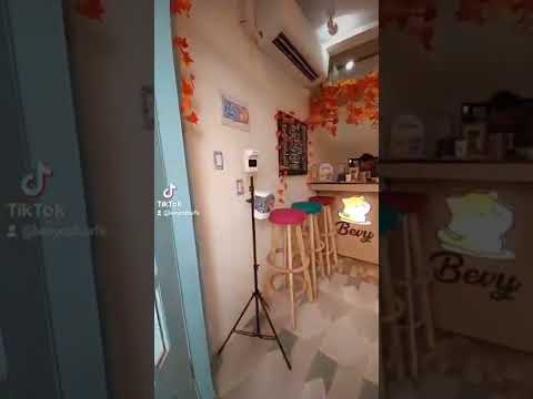 Bevy Cat Café! 1st Cat Café in General Santos City, Philippines #bevycatcafe #catcafe