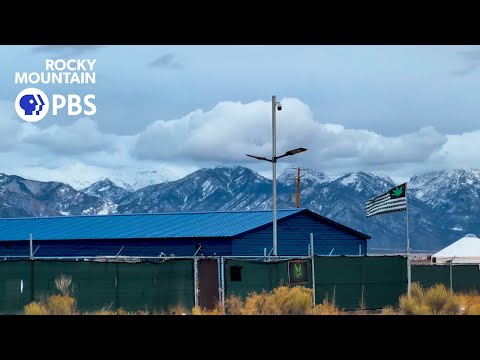Learning to love a 420-acre cannabis farm