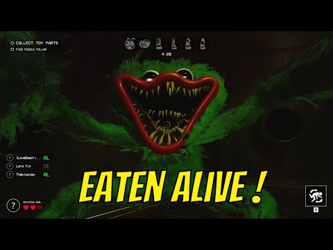 Steam Community :: Video :: Playtime Took a Dark Turn ! Project ...