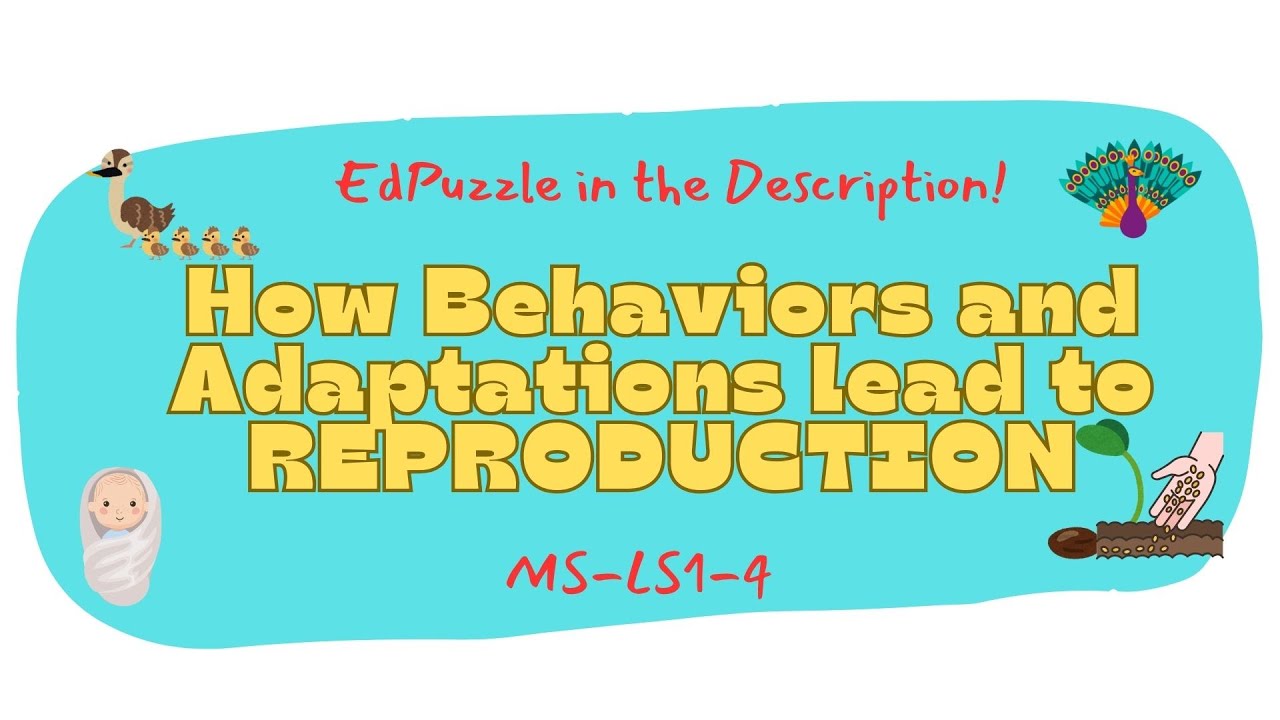 How Behaviors and Adaptations Help PLANTS and ANIMALS Reproduce. MS-LS1-4 Edpuzzle linked!