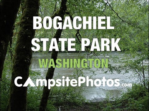 Bogachiel State Park, Washington Campsite Photos