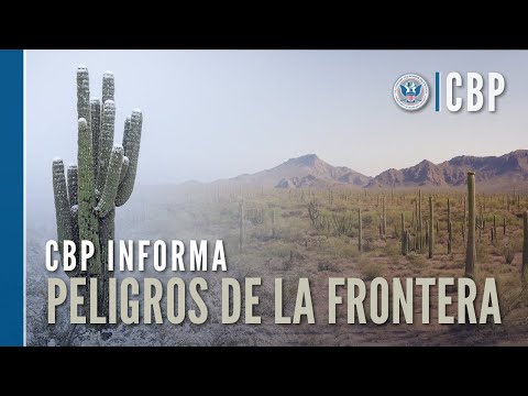 U.S Customs and Border Protection :: Easy Export
