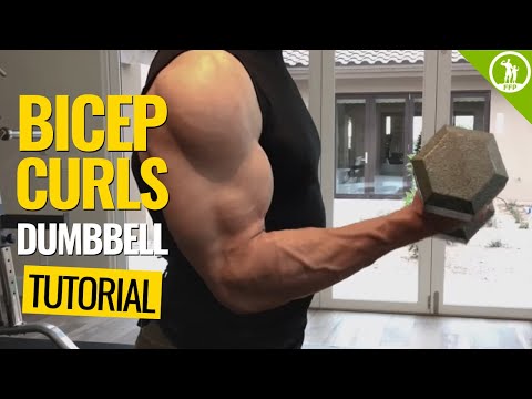 Bicep Curls — (DUMBBELL FORM & TECHNIQUE)