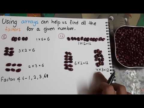 WHAT ARE FACTORS / FINDING FACTORS / FACTORS IN ARRAY / FACTORS THROUGH MULTIPLICATION DIVISION