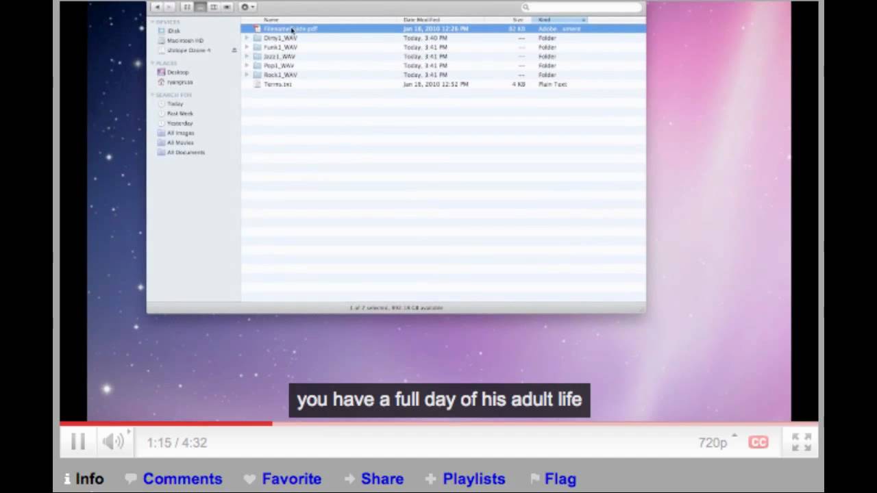 YouTube Closed Captions Gone Wrong