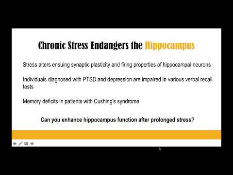 Chronic Stress & Learning / Cognitive Function with Dr Emily Splichal