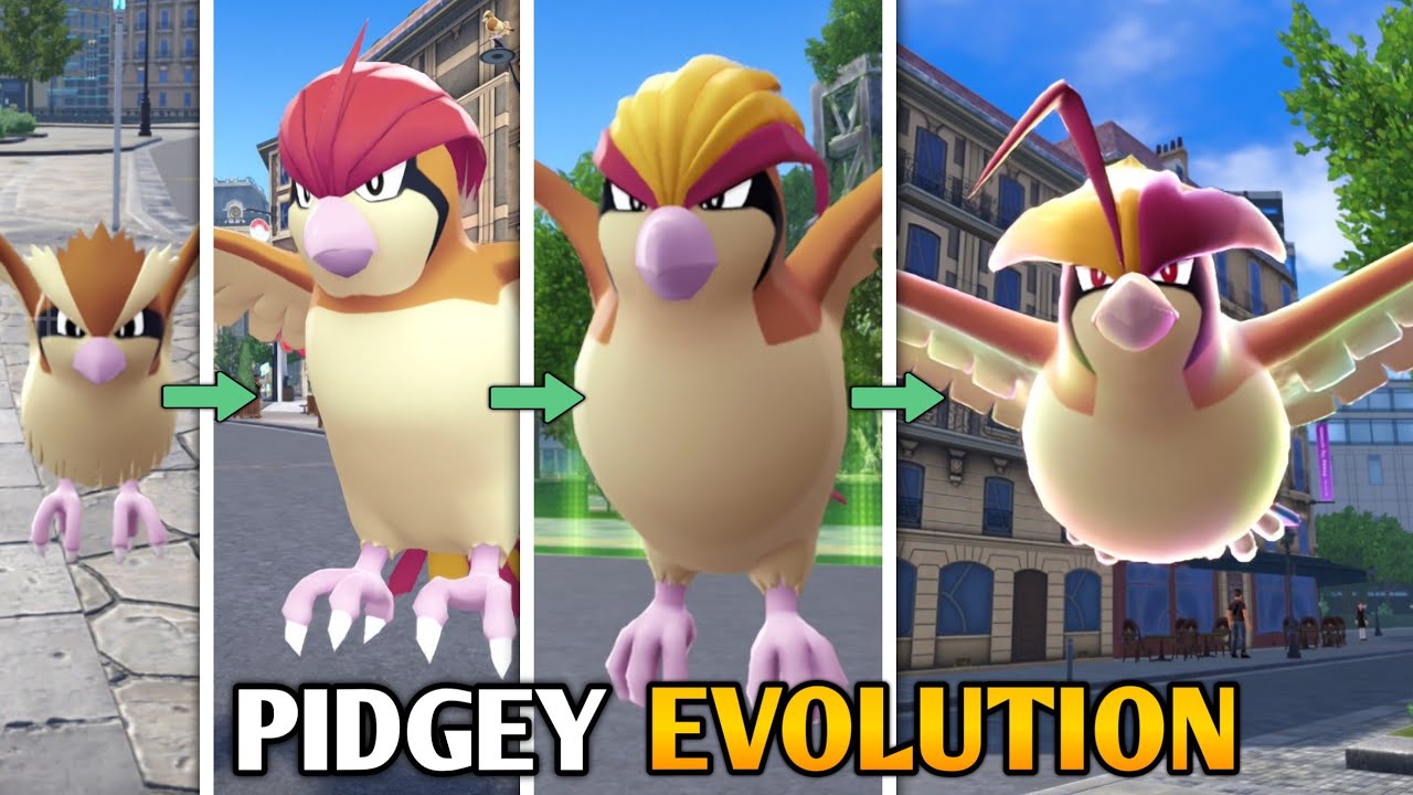 How To Evolve Pidgey Into Pidgeotto And Pidgeot | Mega Pidgeot In Pokemon Legends Z-A