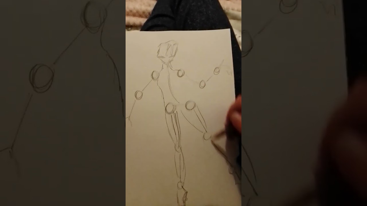 drawing anatomy anatomical sketching