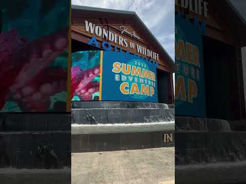 Wonders Of Wildlife Aquarium | Water Fountain | Springfield Missouri