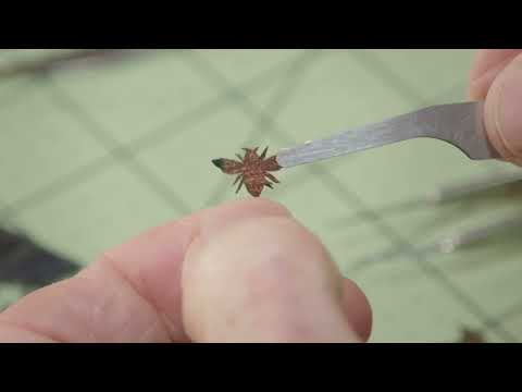 Feathers take flight in Chris Maynard's art - preview from SCIENCE episode