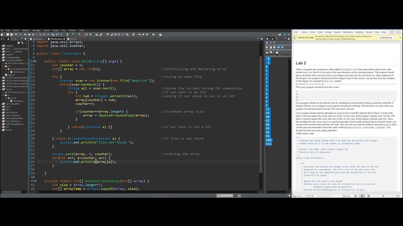 Filtersort entire JAVA assignment | Programming Concepts and Methodology Lab 2