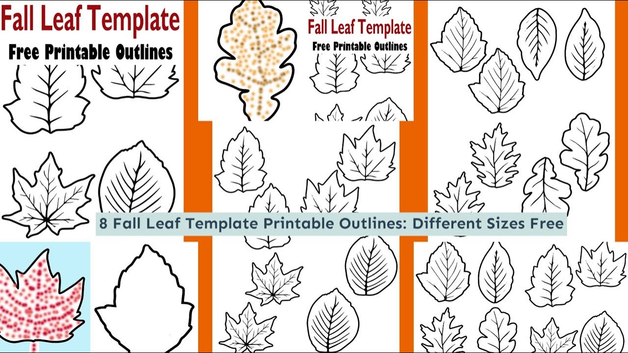 8 Fall Leaf Template Printable Outlines Different Sizes Free PDFs DIY Kid Crafts