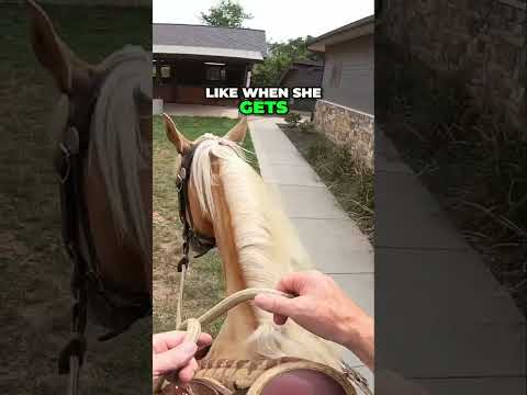 Understanding Your Horse's Instincts and Reactions