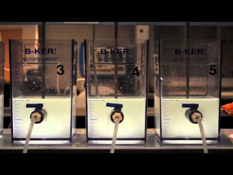 Clean Water for the Developing World