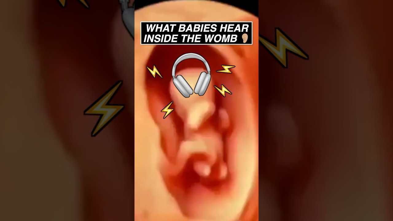 What babies hear in the womb (turn sound on) #ultrasound #medschool #medical #science #pregnant