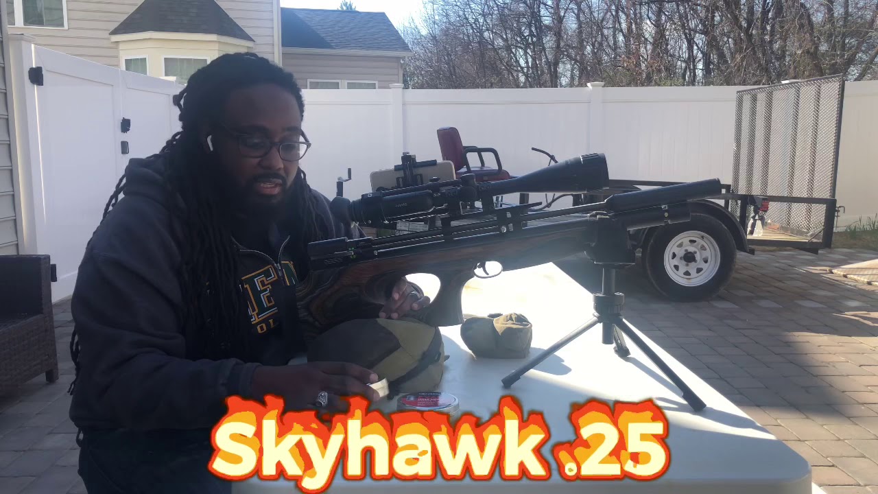 Diana Skyhawk .25 Testing testing pallets