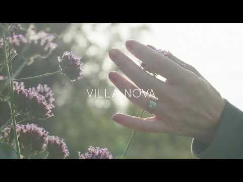 Villa Nova's Still Life Collections