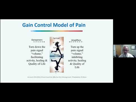 Blum Center Program: Pain and Its Treatments – Finding the Right Balance