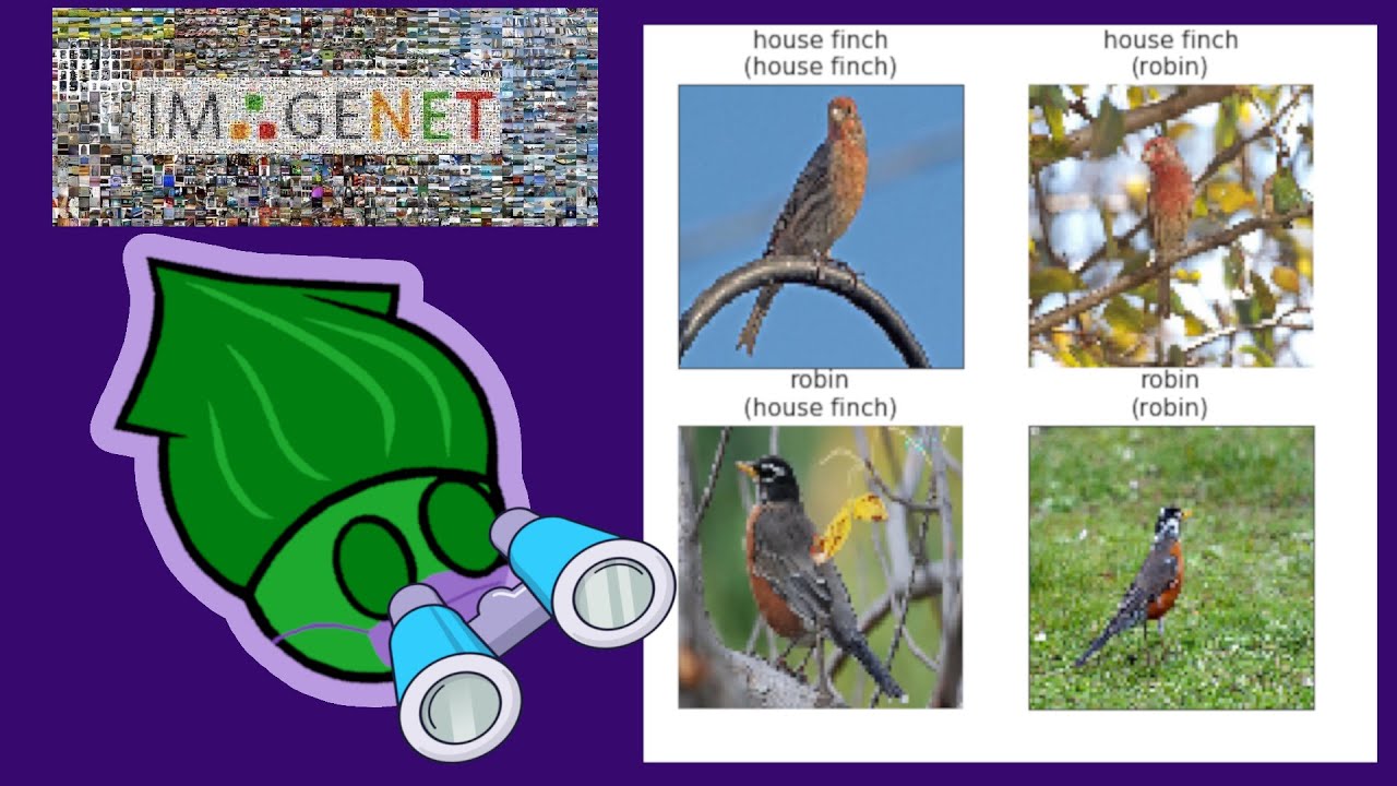 Mini-ImageNet image-classification (and cross validation)