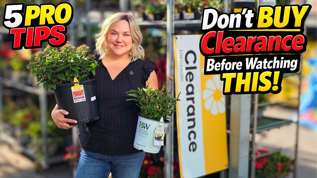 Shop Garden Center Clearance Like a Pro. 5 Tips for Success!