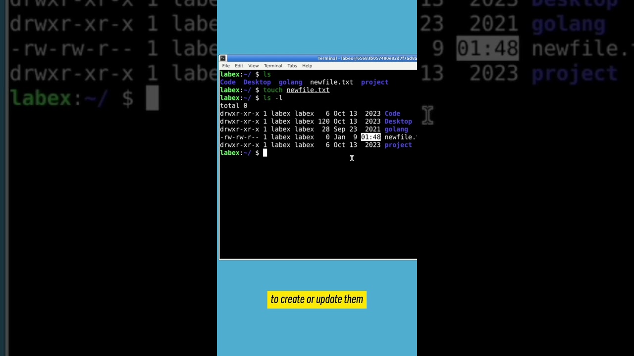 Practice Linux Commands 18 - touch #commandline #linuxcommands #linux #learnlinux