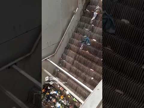 Oil Water Separator - TPI Oil Water Separator Manufacturer from Navi Mumbai