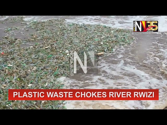 Pollution of the Rwizi River in Uganda: Causes, Consequences, and Solutions