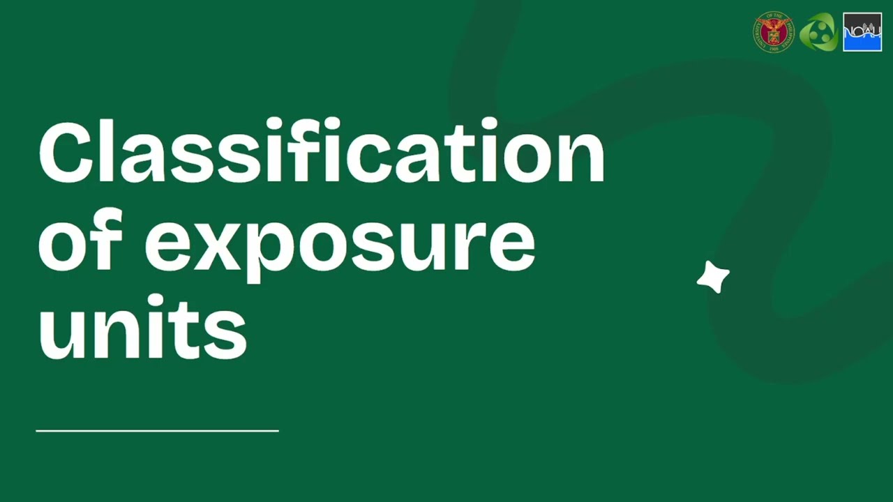 Understanding the Classification of Exposure Units by DHSUD | Galaxy.ai